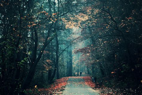 I Want To Know How To Get This Effect Postprocessing