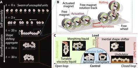 Science Robotics速递：使用固态和液态集体状态的自组织机器人聚合体 集智俱乐部