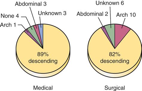 Type B Aortic Dissection Clinical Tree