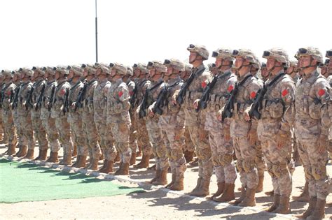 Монгол Хятадын хамтарсан Талын түнш 2024 хээрийн сургууль эхэллээ