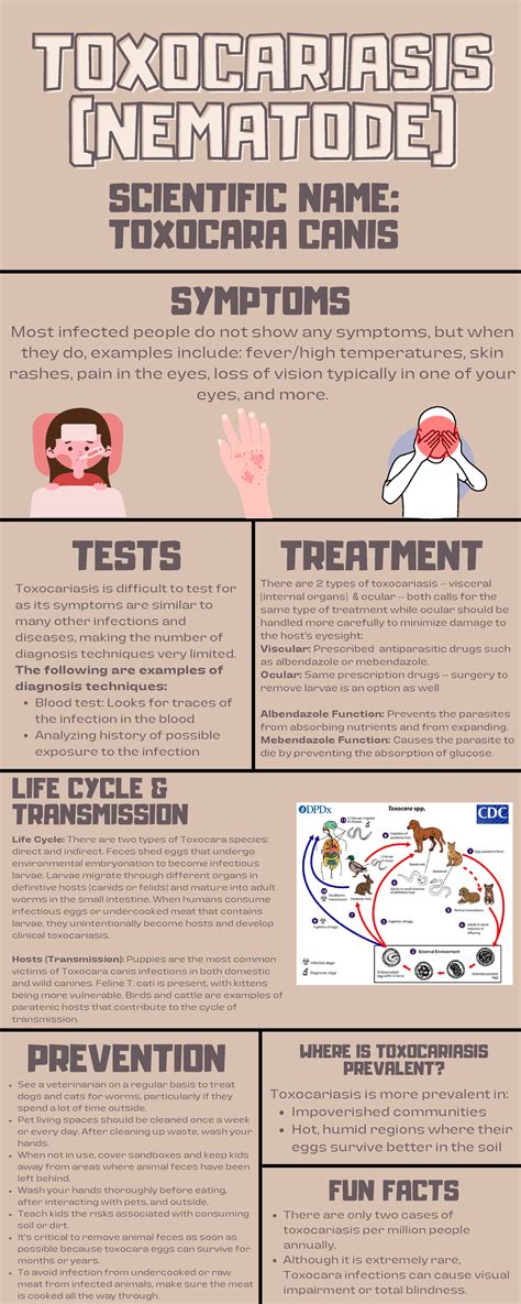 Toxocariasis Psa Toxocariasis Is Difficult To Test For As Its