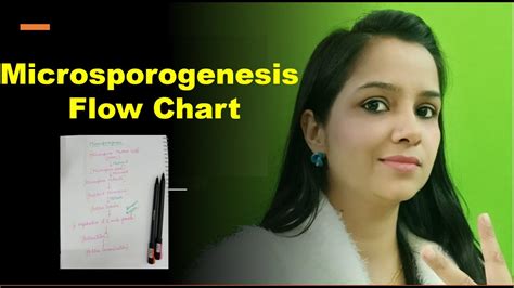 Microsporogenesis Microsporogenesis Flow Chart Anther Shorts Youtube