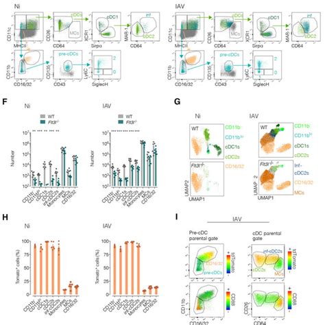 Defining The Cdc Lineage By Flow Cytometry In Non Infected Ni And Download Scientific Diagram Defining The Cdc Lineage By Flow Cytometry In Non Infected Ni And Download Scientific Diagram