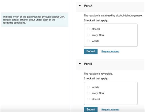Solved Indicate Which Of The Pathways For Pyruvate Acetyl