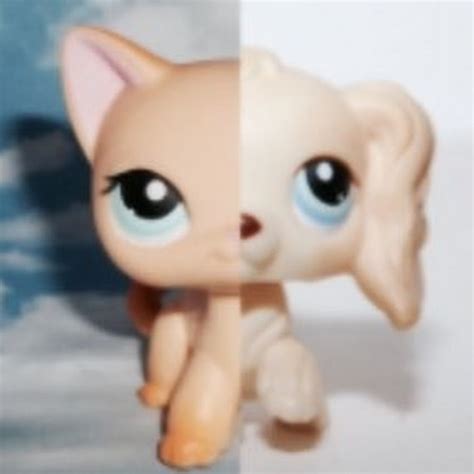 Lps Ruby Beach Youtube