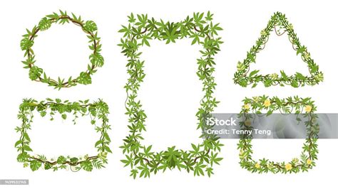 만화 열대 덩굴 식물 등산 식물 장식 정글 매달려 덩굴 식물 야생 식물 덩굴 식물 분기 프레임 열대 우림 덩굴 식물 평면 벡터 그림 세트 녹색 단풍 덩굴 식물 테두리 덩굴에