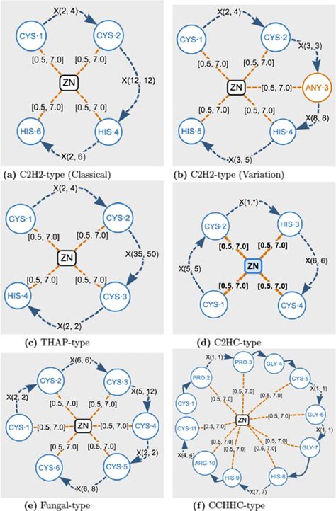 Graph Based Structural Patterns For Six Classes Of Zinc Fingers Download Scientific Diagram