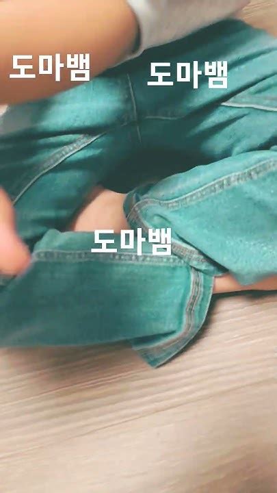 도마뱀 만지기 Youtube