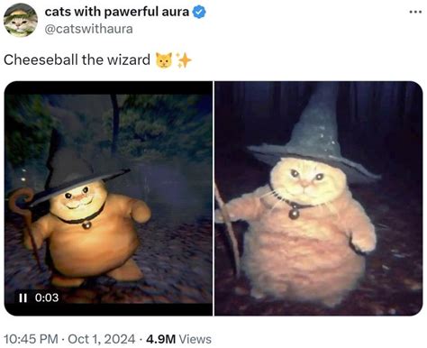 Cheeseball The Wizard 🐱 Cheeseball The Wizard Cat Know Your Meme