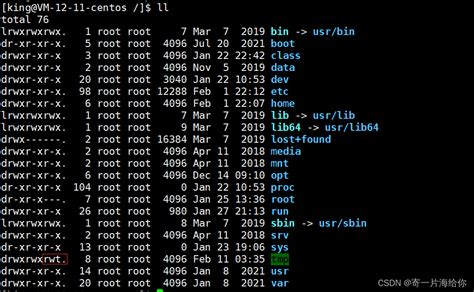 彻底搞懂linux中的权限【详解】 linux用户权限 csdn博客