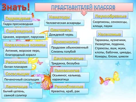 Беспозвоночные. Классификация беспозвоночных - презентация онлайн