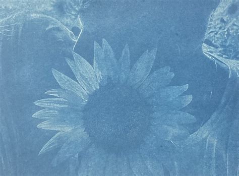 Printmaking Hannah Dickinson Art