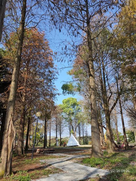 텐트 캠핑 Pixabay의 무료 사진 Pixabay