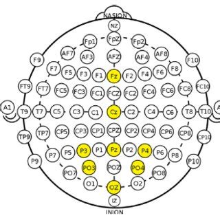 Topographic Position Of The EEG Channels Used In The Study According Download Scientific