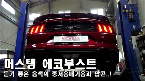 머스탱 에코부스트 심심한 배기음을 참을 수 없다면 듀얼엔드배기튜닝 필수로 진행하세요 Youtube