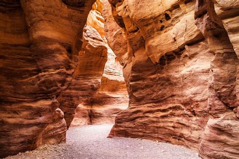 Tripadvisor Canyon Colorato Giro In Cammello Dahab E Blue Hole Da