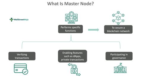 Master Node What It Is Examples Advantages Vs Full Node