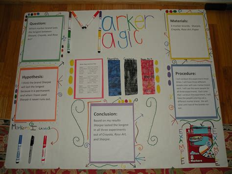 Hypothesis For Science Project