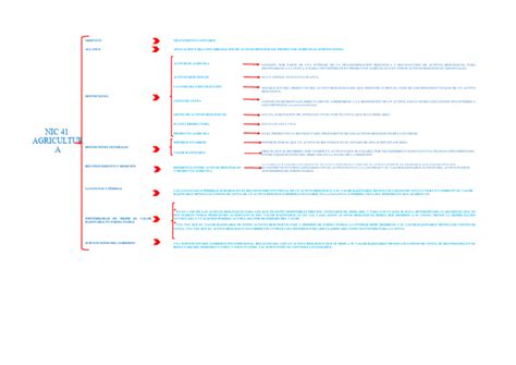 Mapa Conceptual Nic 41 Agricultura Pdf Agricultura Contabilidad