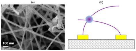 Chemosensors Mdpi On Linkedin Article Recommendation Metal Oxide Gas Sensor Chemical