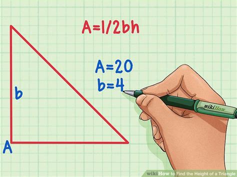 3 Ways To Find The Height Of A Triangle Wikihow