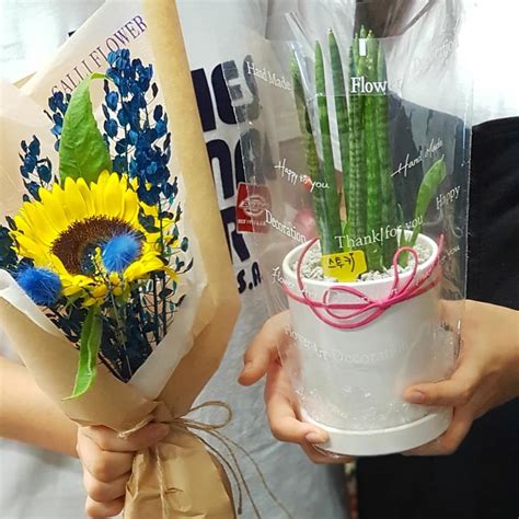 친구집방문선물 중학생 이지만 빈손으로 가면안된다며 칼리플라워 평택 용이동꽃집