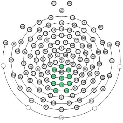 Figure 1 From Middle Schoolers Reading And Lexical Semantic Processing