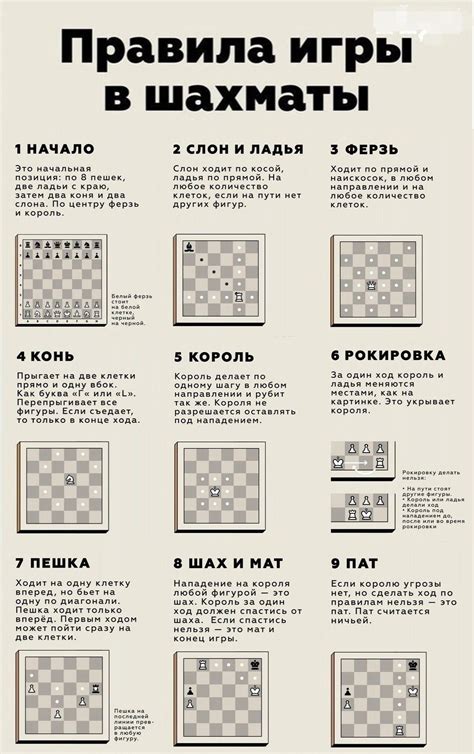 Правила игры в шахматы Шахматы Обучение на дому Полезные советы