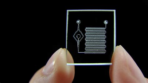 Microfluidics In 2025 Applications Trends And How It Work
