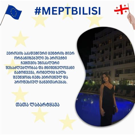 ევროპარლამენტის მოდელირება თბილისი 2024 ევროპის აკადემიის მიერ ორგანიზებულ პროექტში