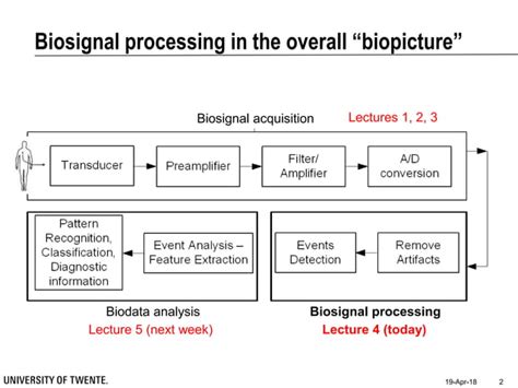 Biosignal Processing