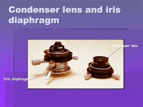 Ppt Microbiology And Microscopy Experiment 4 Cappuccino And Sherman