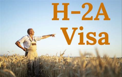 H2a Visa Programs Explained Everything You Need To Know Of January 2026 Romance University