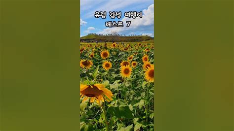 유럽 감성 터지는 한국여행지 국내여행 국내여행추천 국내여행지추천 여행유튜버 한국여행 한국관광 유럽여행 Youtube