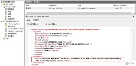 在iis上如何部署aspnet Core项目 编程语言 亿速云