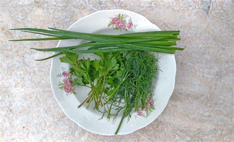 흰색 접시에에 신선한 허브 딜 녹색 양파 파 슬 리입니다 평면 배치 건강한 식생활에 대한 스톡 사진 및 기타 이미지 건강한 식생활 다발 도마 요리 도구 Istock