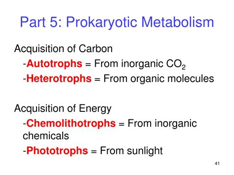 Ppt Exploring Prokaryotic Diversity And Structure Powerpoint Presentation Id 9432178