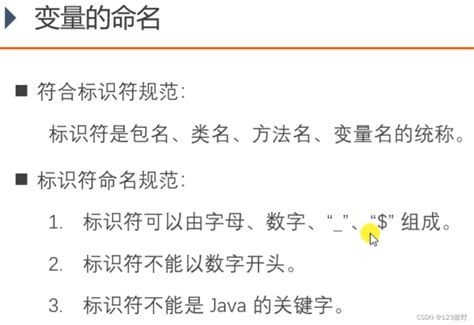 Java编程基础：变量声明、数据类型与常量规则 Csdn博客