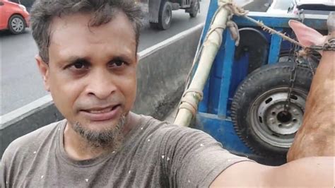 কুরবানির গরু পিক আপে কিভাবে আনলাম একদম উড়ৃ উড়ে আসলাম। Youtube