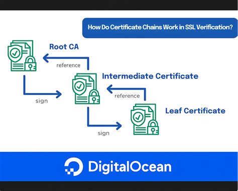 Ssl Verification What It Is And How To Enable It Digitalocean