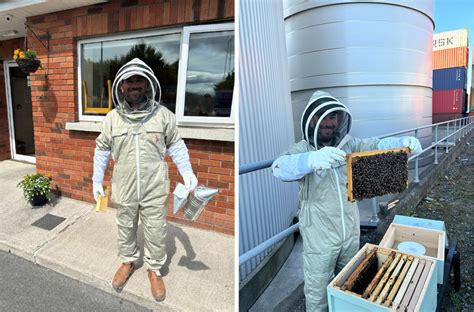 Biodiversity At The Port Mlp Brings Bees To Dublins Dockside Edandf