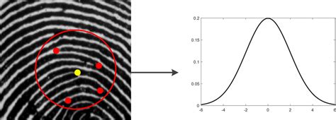 Graphical Representation Of The Minutia Descriptor Associated With A