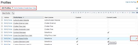 sfdc 3 16 salesforce user interface enhanced profile list views