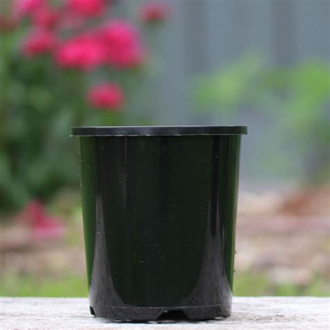 140mm Plastic Pot Black The Seed Collection