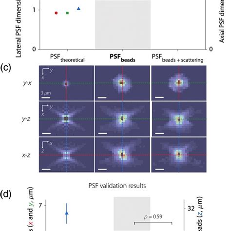 Obtaining And Validating A Psf For Deconvolution A Illustration Of Download Scientific