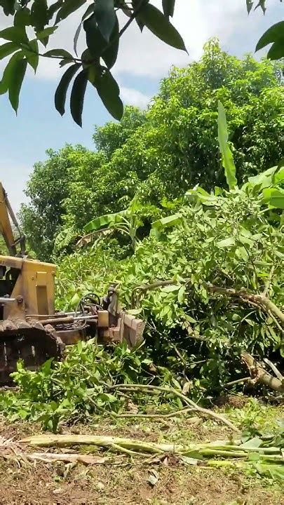 Caterpillar D11t Youtube