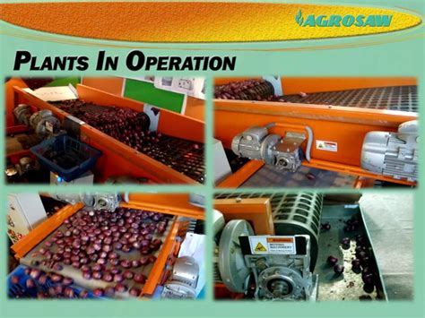 2 Fruit And Vegetable Grading Ppsx