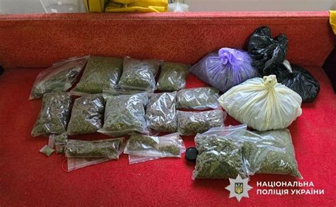 У столиці судитимуть учасників наркоугрупування що торгували канабісом по всій країні