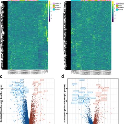 Expression Profiles Of Coding And Lncrna Genes A Hierarchical