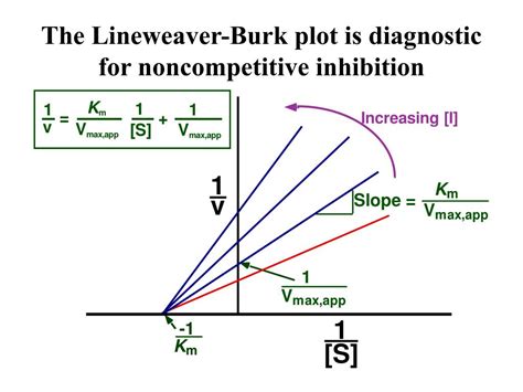 Ppt Enzyme Kinetics Inhibition Powerpoint Presentation Free